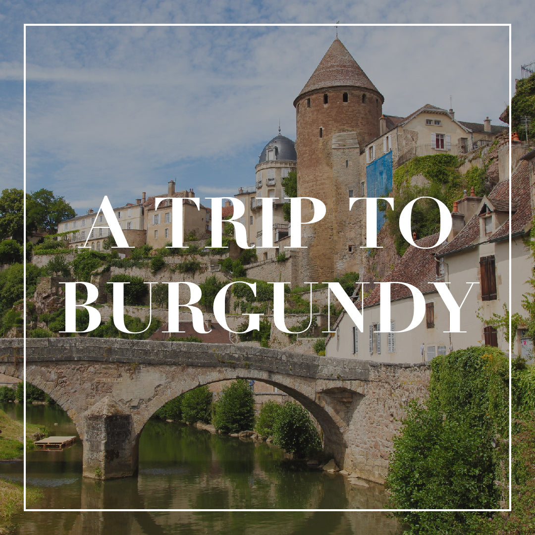 A Trip to Burgundy | Learn About Wine | Wine Event