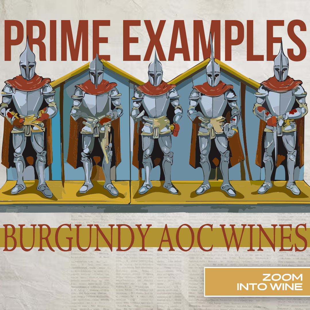Burgundy AOC Wines: Prime Examples | Wednesday, November 26th at 7PM ...