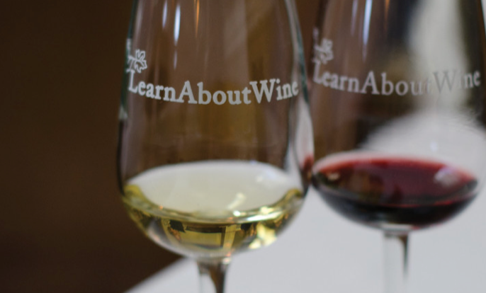 Wine Camp | Learn About Wine | Introduction to Wine | Wine Education