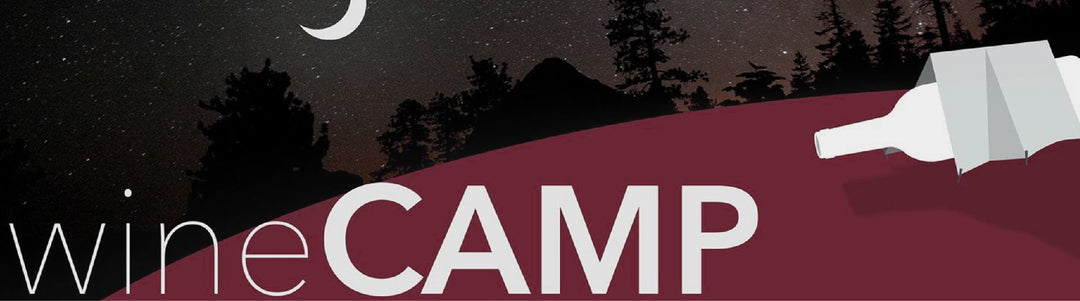Wine Camp | Learn About Wine | Introduction to Wine | Wine Education